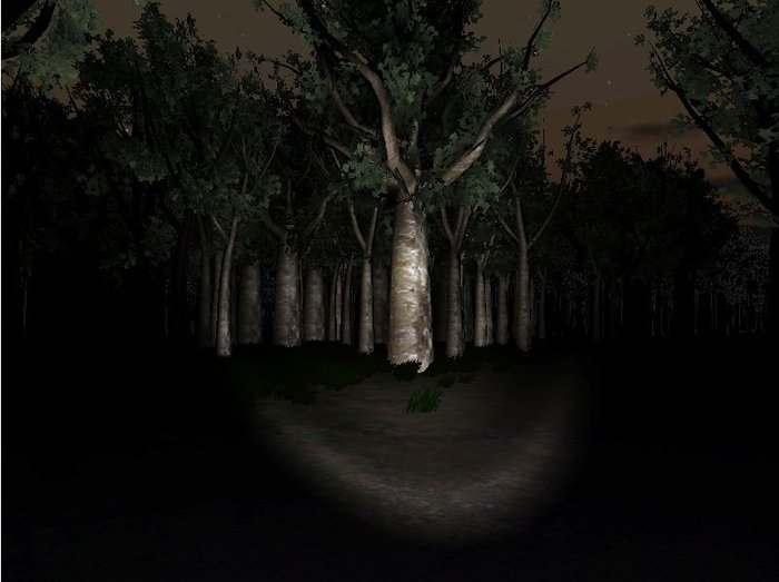 Slender: A Review – The Vault Publication