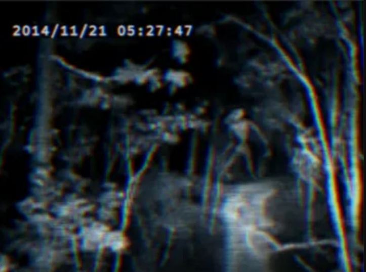 The Elements of Analog Horror – The Vault Publication